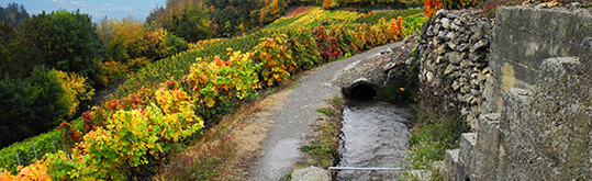 Les Bisses du Valais