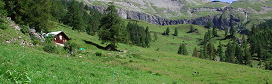 Les Bisses du Valais